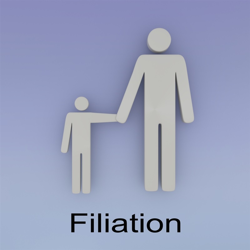 FOCUS – La filiation des enfants nés d’une mère porteuse à l’étranger ...